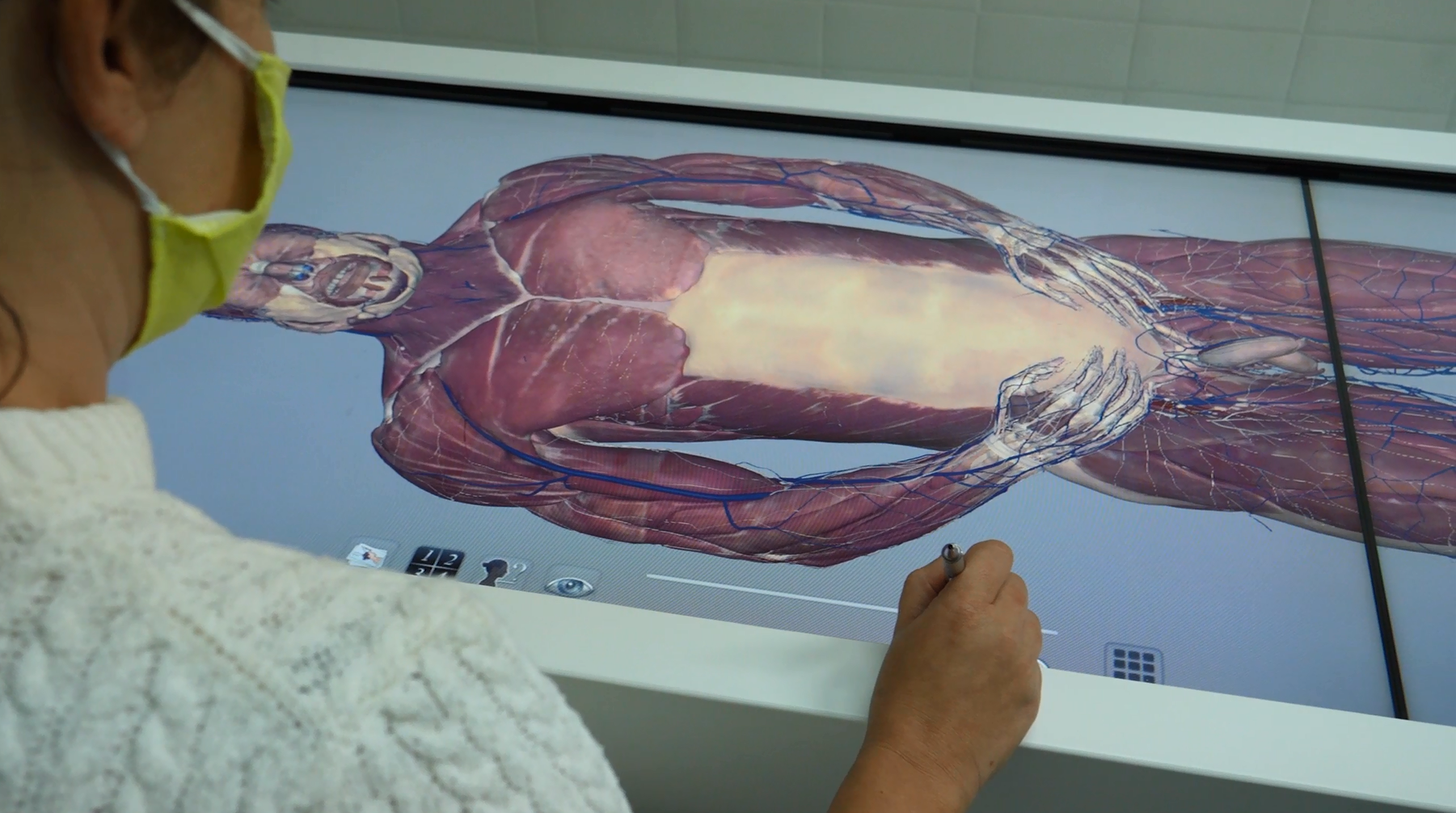 Εργαστήριo Ανατομίας